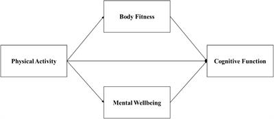 Frontiers | Quantifying the parallel mediation influence of body mass index and depression on ...